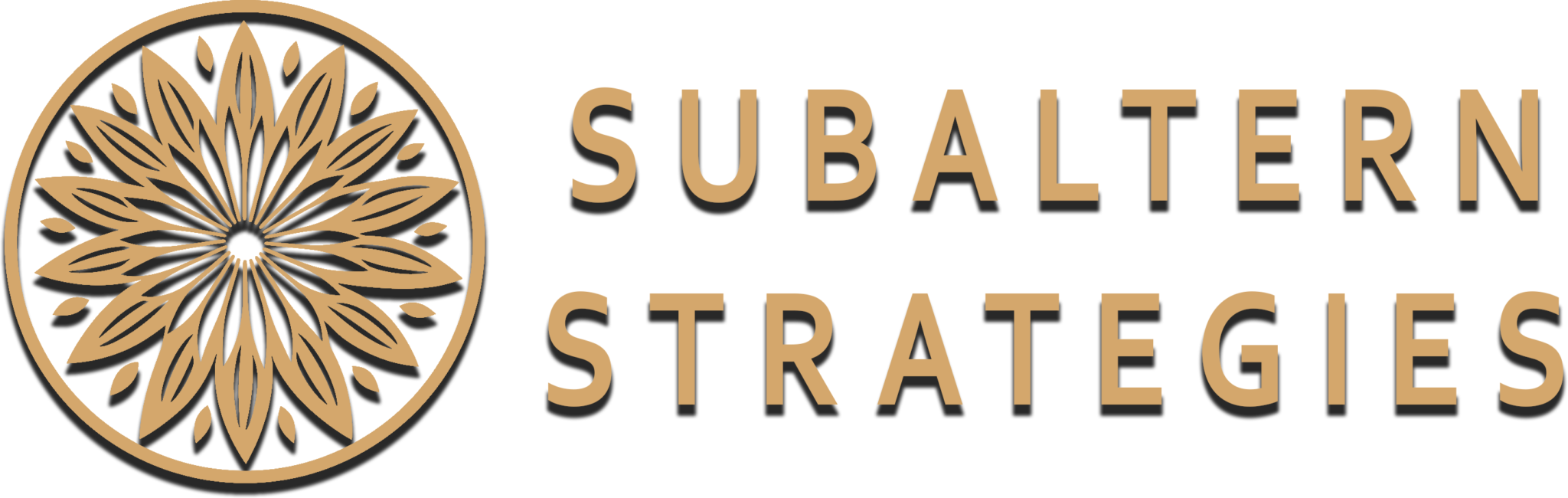 Subaltern Strategies – Empowering Communities. Elevating Change.